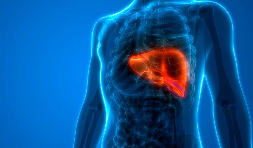 Doenças hepáticas: principais tipos e como fazer o diagnóstico